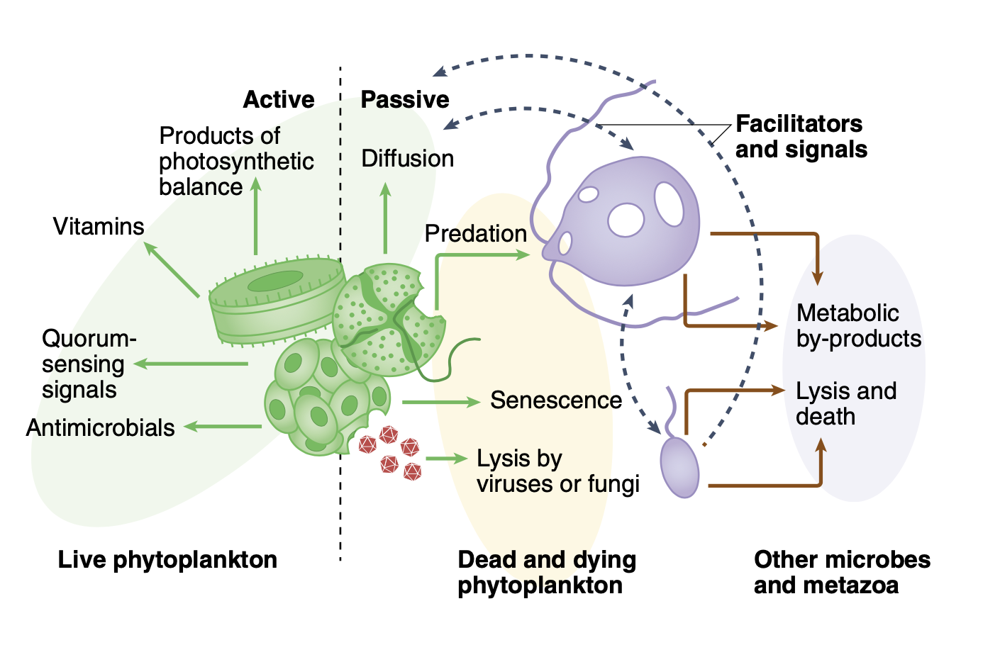 Moran et al., 2022, Nature Microbiology – Moran Lab