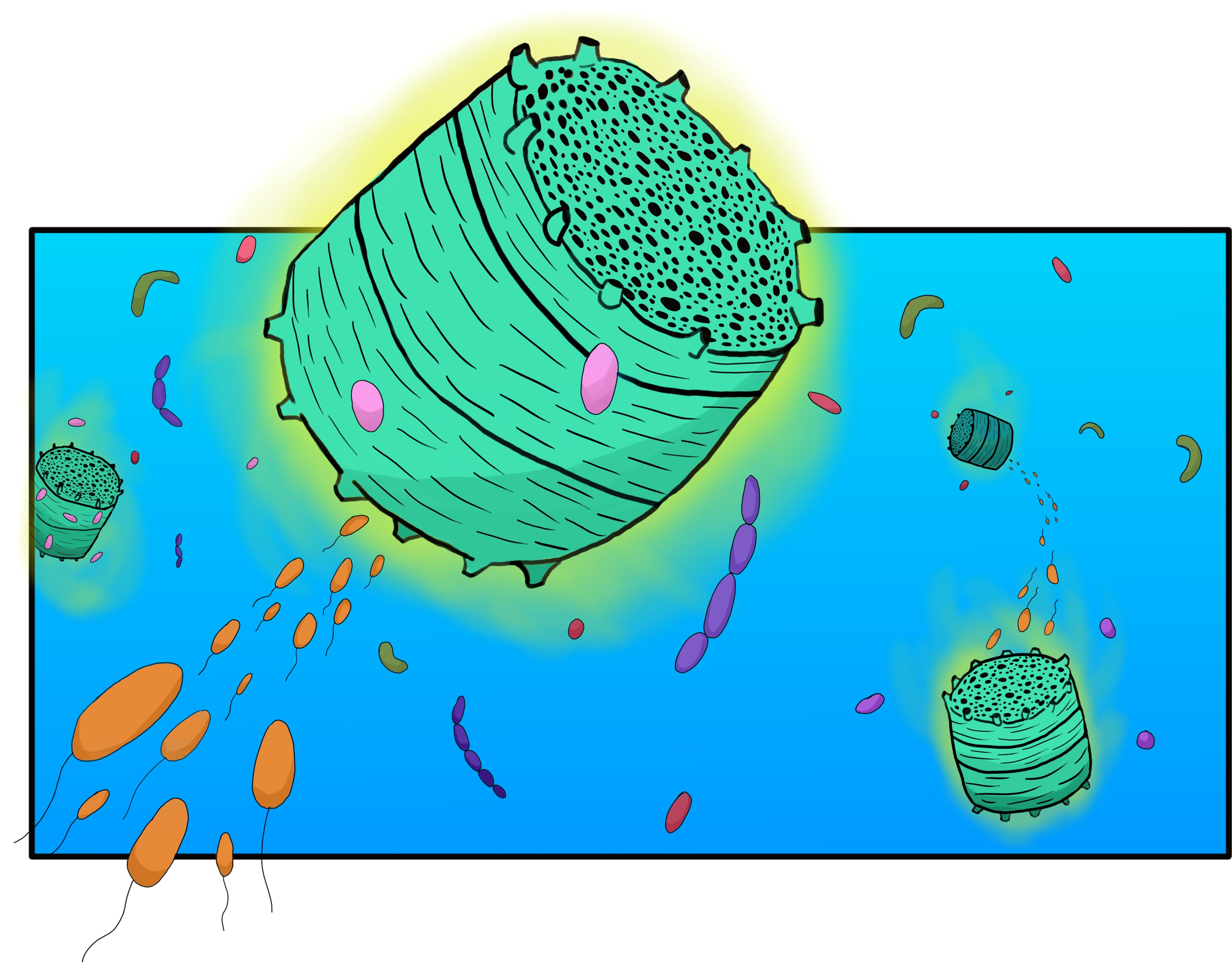 JEREMY E. SCHREIER ET AL., 2023 – Moran Lab